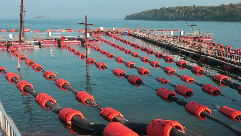 Tool | EZ Connect Floats